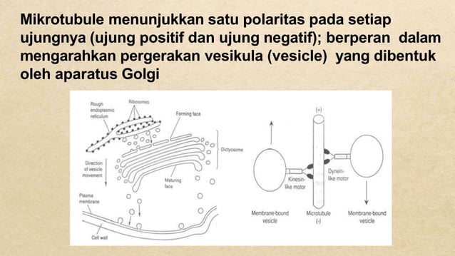 1. PPT Kelompok 1 Wilman Taupik_ Daniel Manahan.pptx