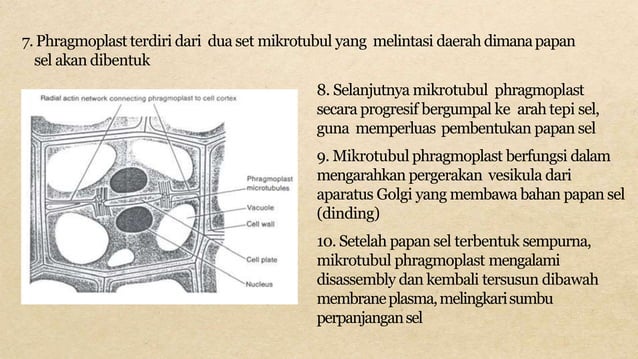 1. PPT Kelompok 1 Wilman Taupik_ Daniel Manahan.pptx