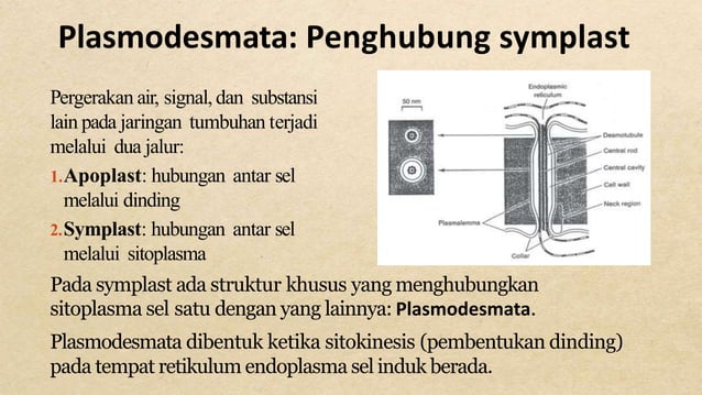 1. PPT Kelompok 1 Wilman Taupik_ Daniel Manahan.pptx