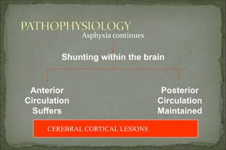 1. asphyxia.PPT