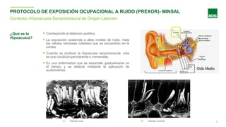1.b Presentación Difusión Protocolo PREXOR ACHS_2022.pptx