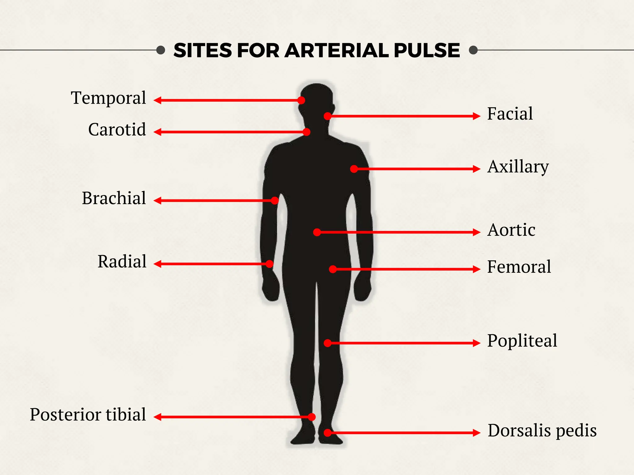Cardiology 2.1. Pulse - by Dr. Farjad Ikram.pptx | Death, Injury, or Military Conflict ...