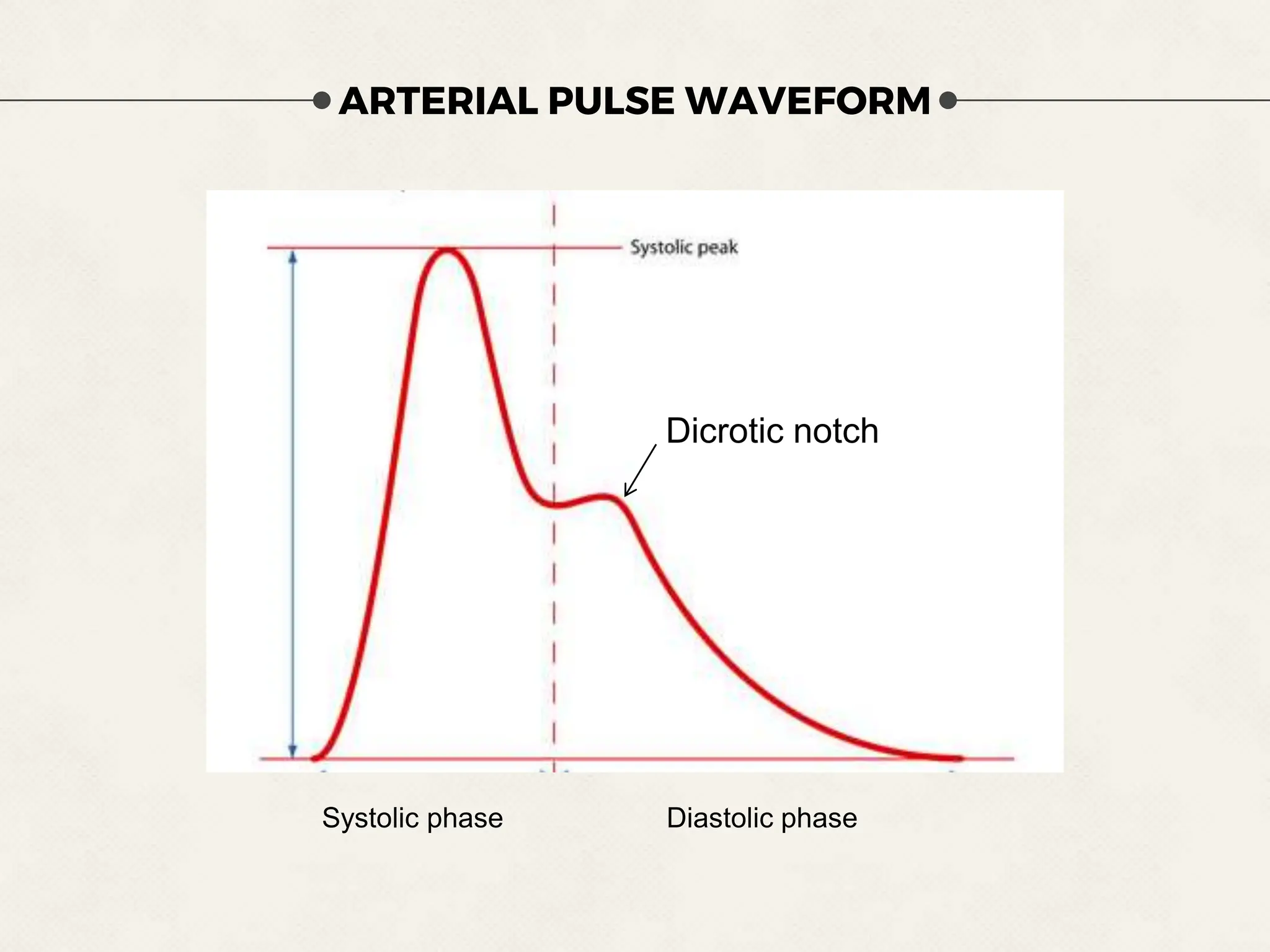 Cardiology 2.1. Pulse - by Dr. Farjad Ikram.pptx