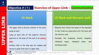 1. UL - Upper Limb Overview.pdf