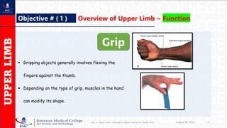 1. UL - Upper Limb Overview.pdf
