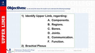 1. UL - Upper Limb Overview.pdf