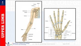 1. UL - Upper Limb Overview.pdf