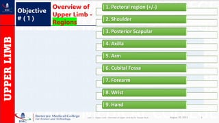 1. UL - Upper Limb Overview.pdf