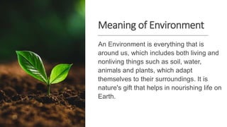 1. Environment as the Basis of Life..pptx