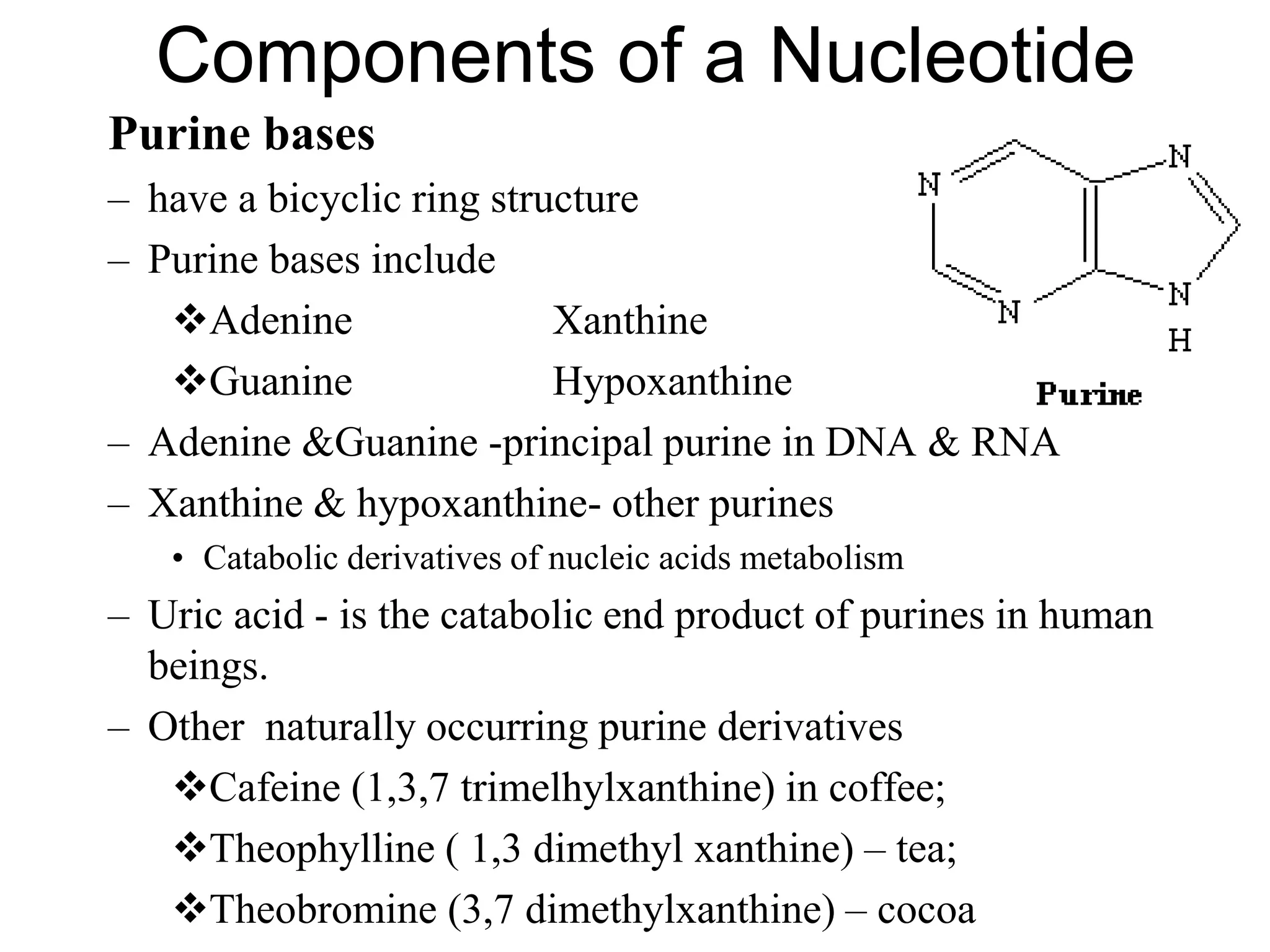 1. Nucleotides and the nucleic acids-1.ppt