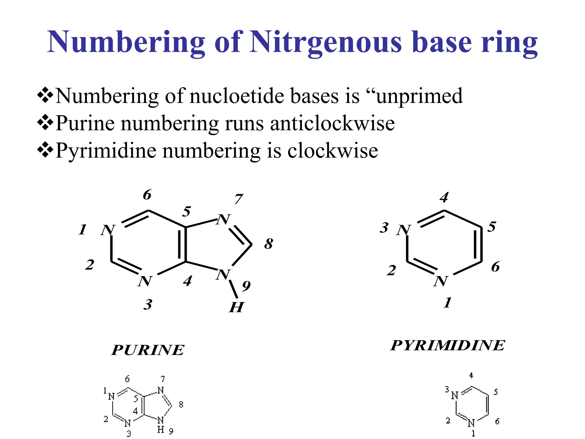1. Nucleotides and the nucleic acids-1.ppt