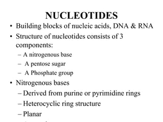 1. Nucleotides and the nucleic acids-1.ppt