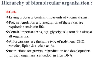 1. Introduction to structure of biomolecules lecture Lecture 2-1.pptx