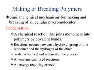 1. Introduction to structure of biomolecules lecture Lecture 2-1.pptx