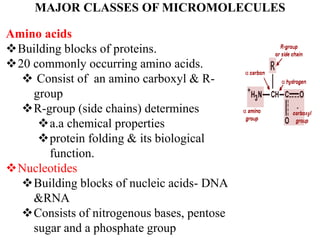 1. Introduction to structure of biomolecules lecture Lecture 2-1.pptx