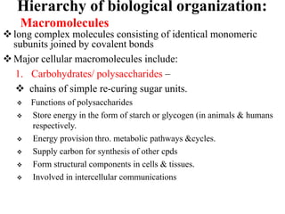 1. Introduction to structure of biomolecules lecture Lecture 2-1.pptx