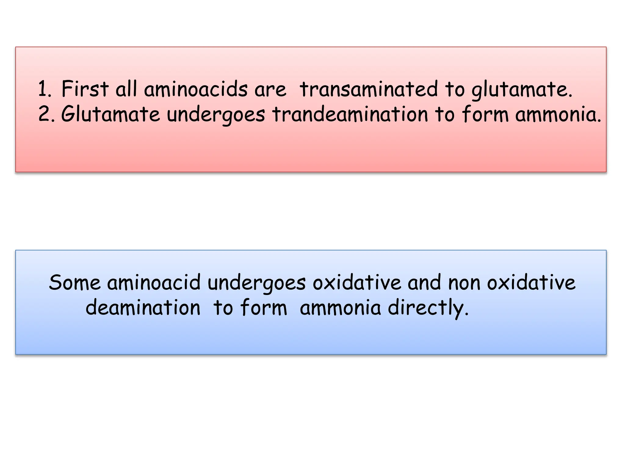 1. FORMATION,TRANSPORT AND DETOXIFICATION OF AMMONIA.pptx