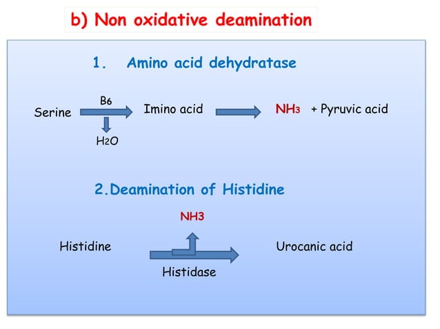 1. FORMATION,TRANSPORT AND DETOXIFICATION OF AMMONIA.pptx | Chemistry ...