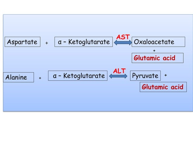 1. FORMATION,TRANSPORT AND DETOXIFICATION OF AMMONIA.pptx | Chemistry ...