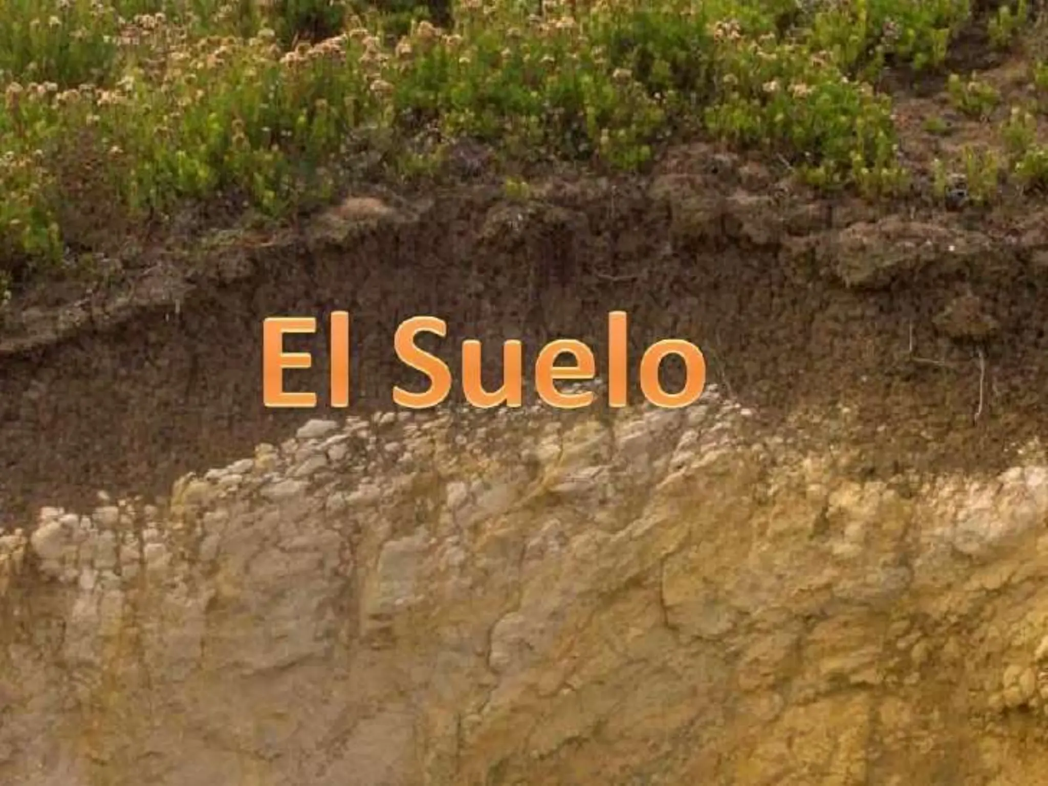 1. Genesis y propiedades del suelo.ppt