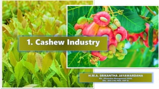 Introduction of Cashew Industry | PPTX