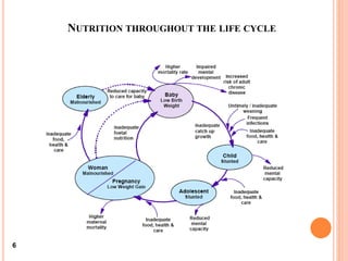 1.00 Nutrition in the life cycle.pptx