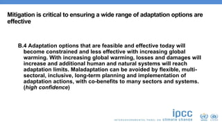 Adaptation-Mitigation Synergies and Tradeoffs | PPTX