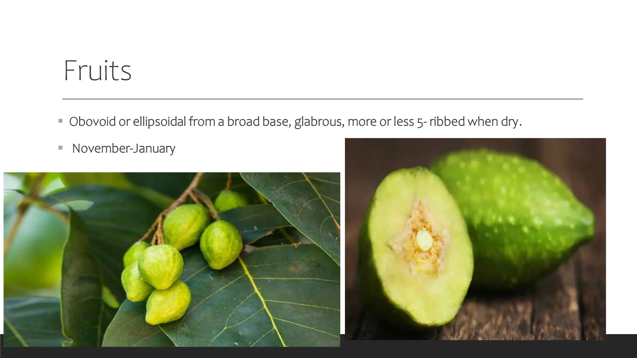 1. DRAVYAGUNA LECTURE SERIES-Haritaki.pptx