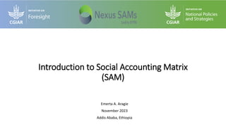 1.Introduction to SAMs.pptx