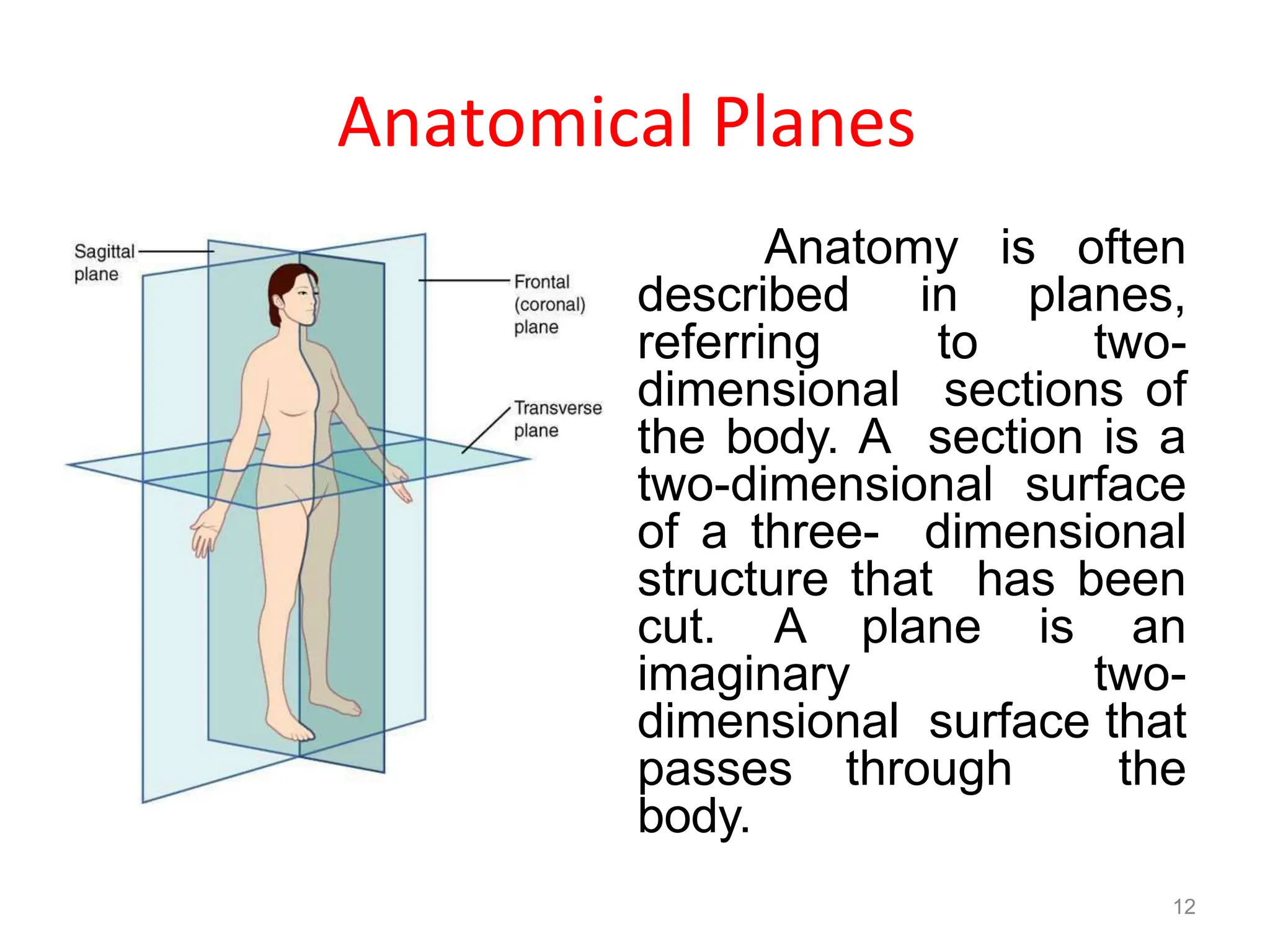 1. Human Anatomy and Physiology introdution.pptx