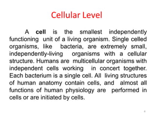 1. Human Anatomy and Physiology introdution.pptx