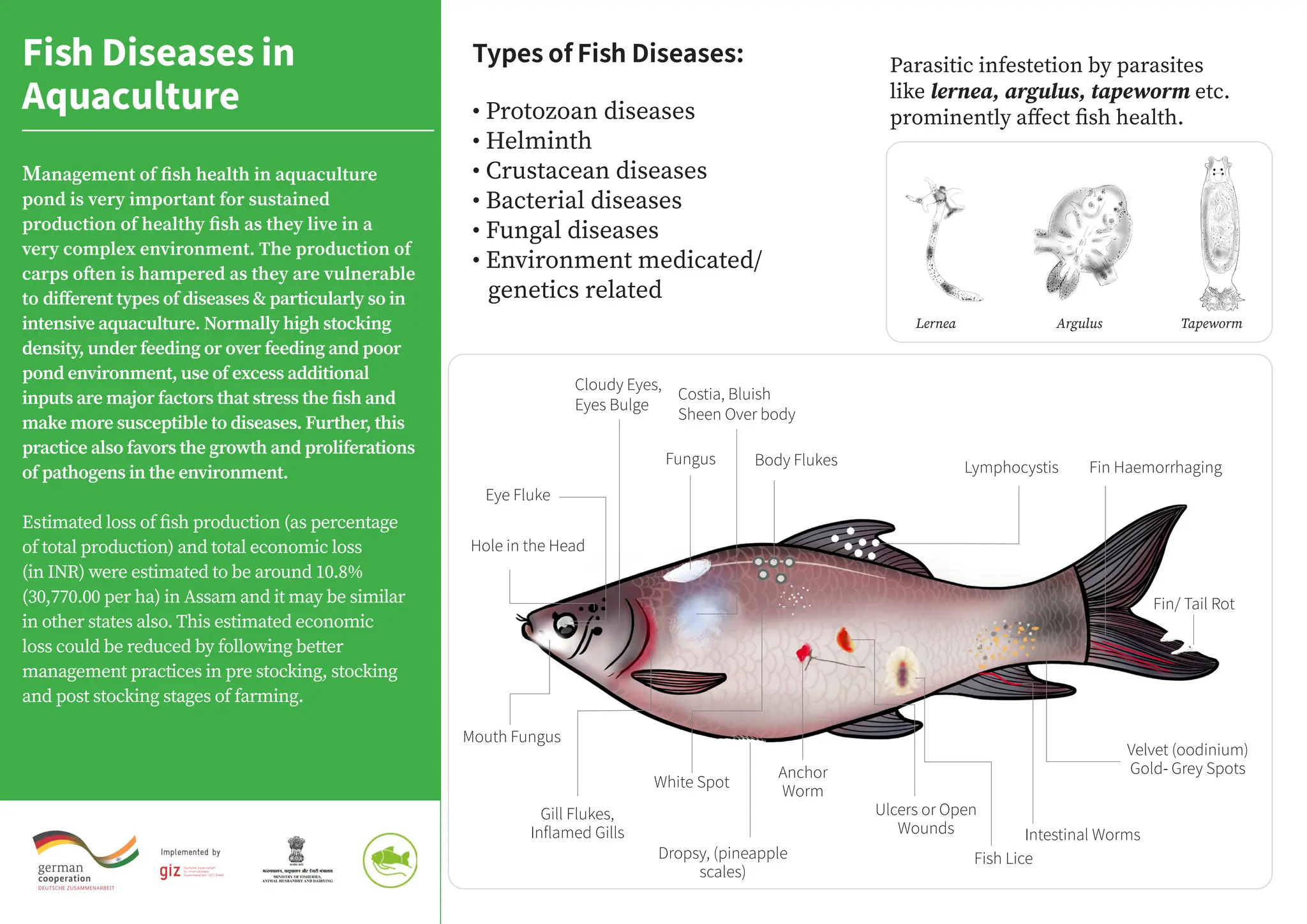 1.-Fish-Diseases.pdf
