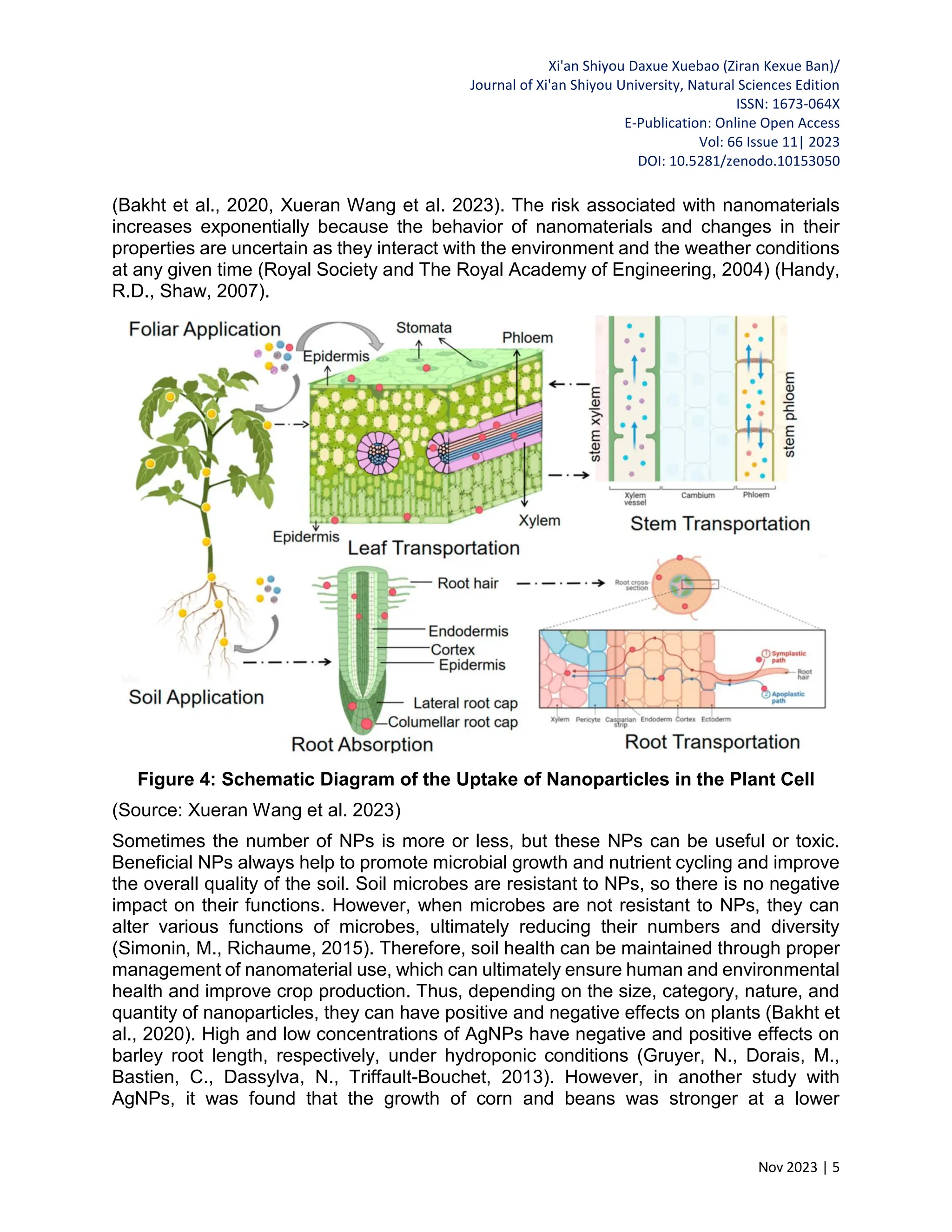 NANOMATERIALS TOXICITY TO HUMANS AND PLANTS | PDF