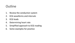ECG For BSc Students.pptx