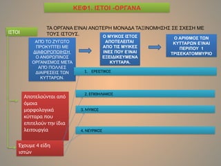 ΚΚΕΦΑΛΑΙΟ 1 ΒΙΟΛΟΓΙΑ Α' ΛΥΚΕΙΟΥ-ΑΝΑΤΟΜΙΑ, | PPTX