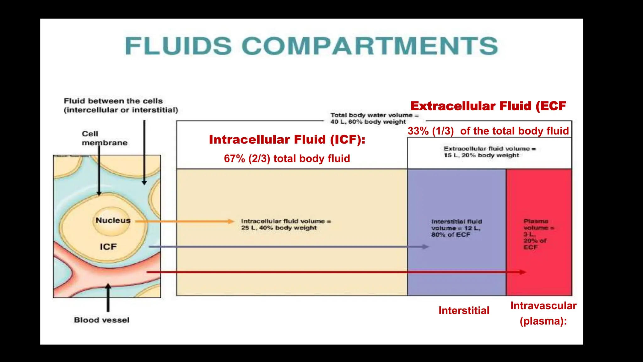 1. Water And Sodium and electrolyte balance | PPTX