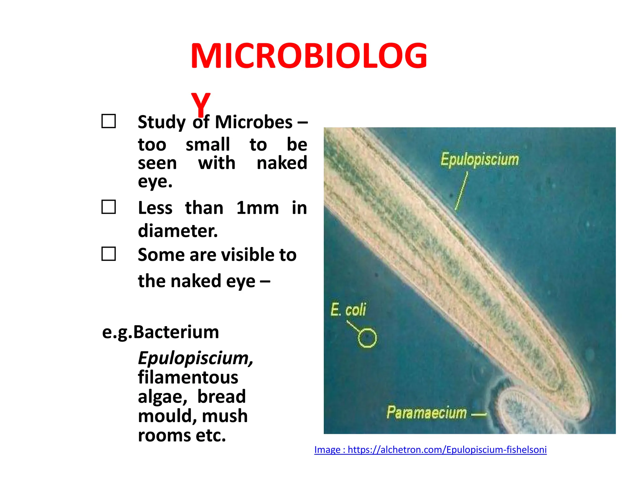 1. History and Scope of microbiology (1).pptx