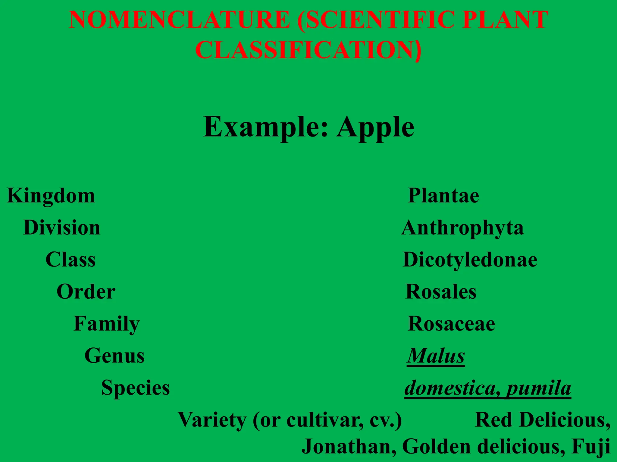 1. Horticultural based Classification of Horticultural crops.pptx