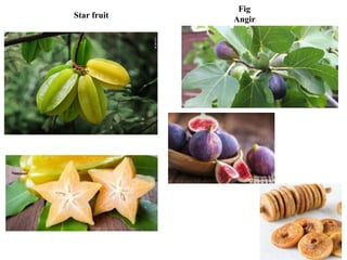1. Horticultural based Classification of Horticultural crops.pptx