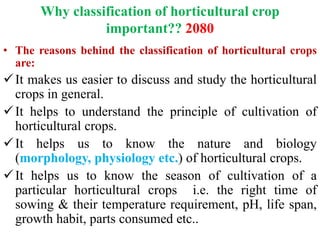 1. Horticultural based Classification of Horticultural crops.pptx
