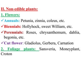 1. Horticultural based Classification of Horticultural crops.pptx