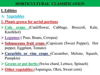 1. Horticultural based Classification of Horticultural crops.pptx