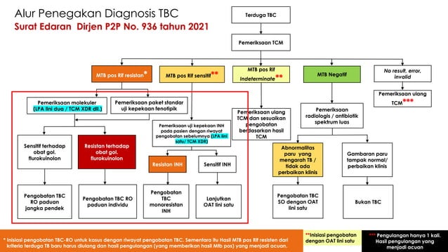 Kebijakan dan Alur Pemeriksan TBC Menggunakan Kartrid XDR.pdf