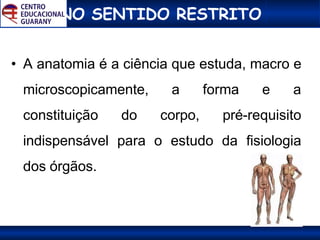 INTRODUÇÃO À ANATOMIA HUMANA - CABEÇA E PESCOÇO.pptx
