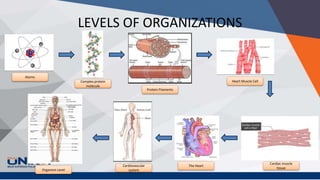 1. INTRODUCTION TO ANATOMY & PHYSIOLOGY.pptx