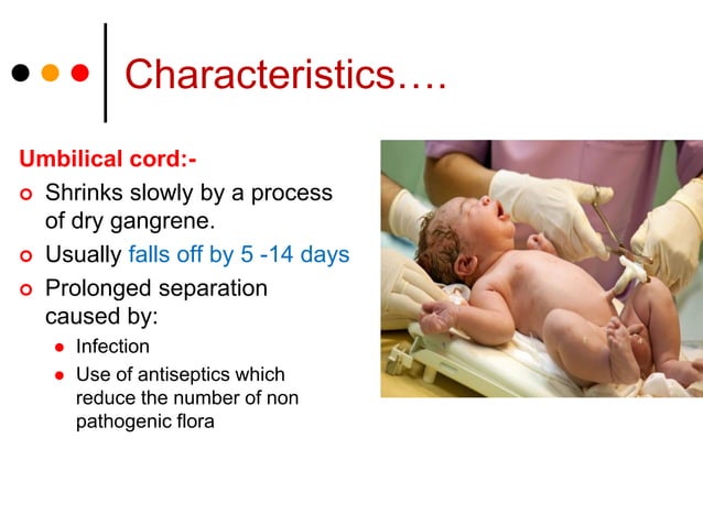 1. Characteristics of a normal newborn.pdf