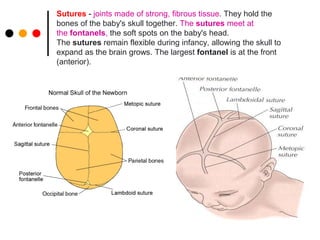 1. Characteristics of a normal newborn.pdf