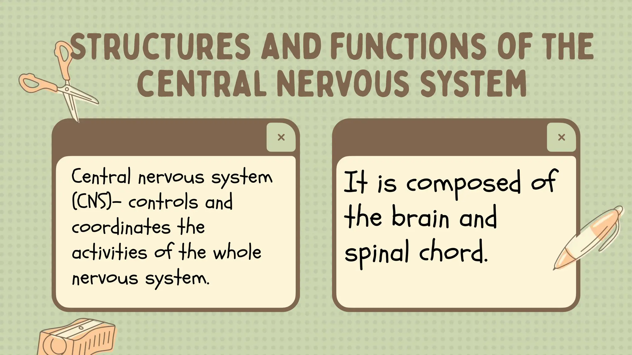 Nervous System Lesson for Grade 6 in Science | PPTX