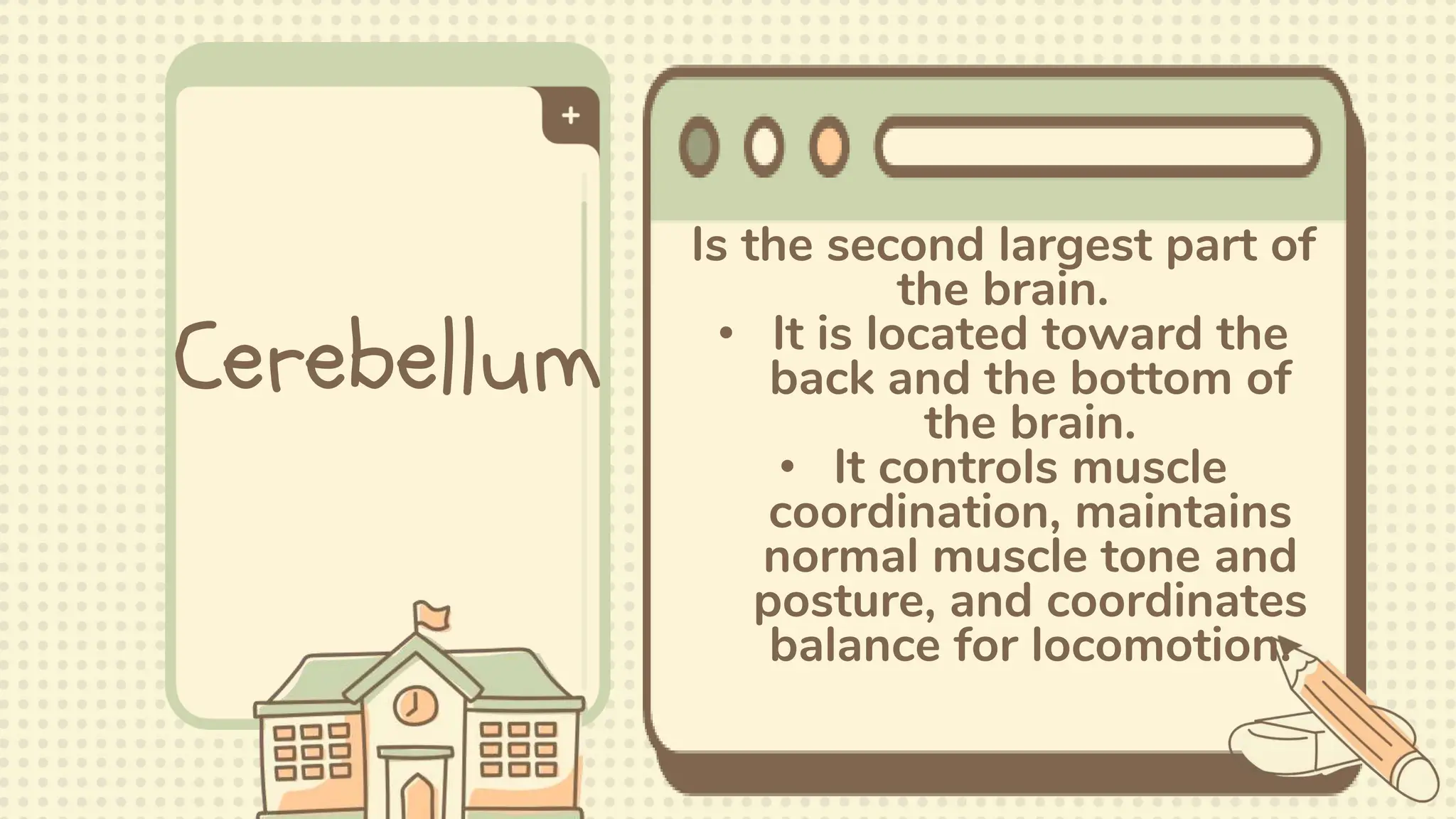 Nervous System Lesson for Grade 6 in Science | PPTX
