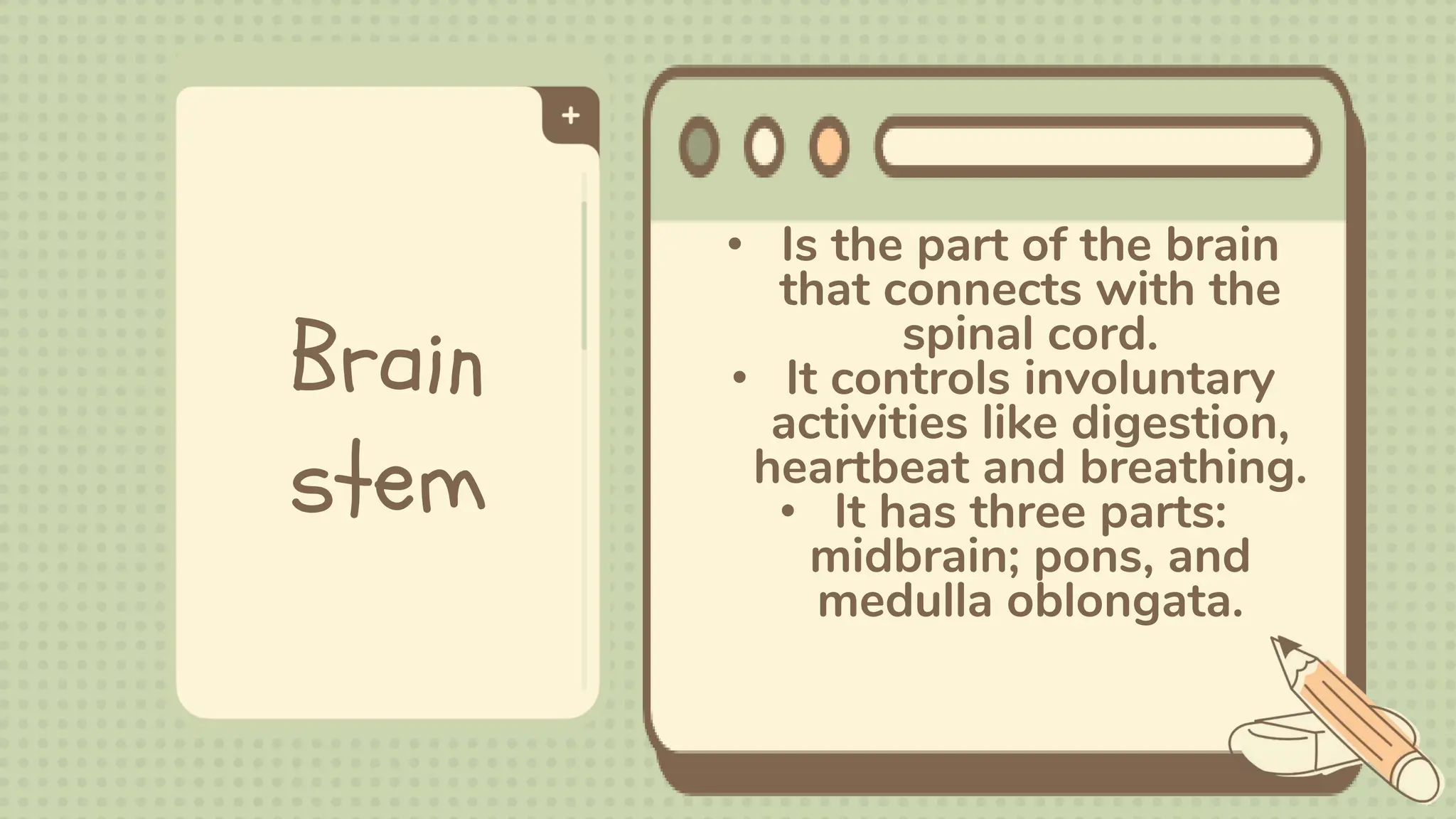 Nervous System Lesson for Grade 6 in Science | PPTX